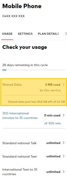 How to check your usage