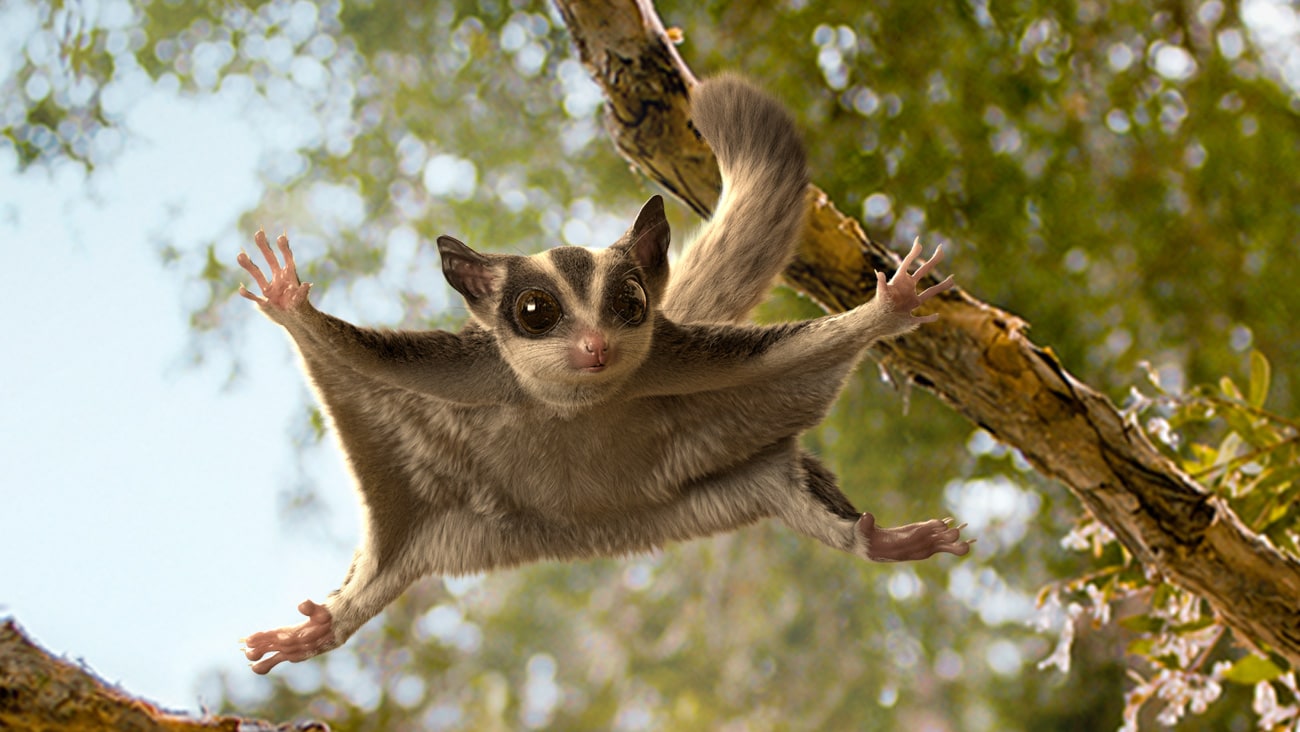 It starts with yes | Optus