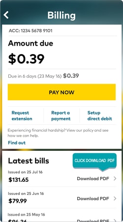How to View Your Online Bills or Get Reprints